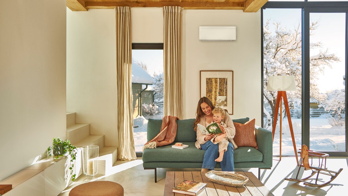 Daikin heat pumps for sustainable home comfort | Daikin